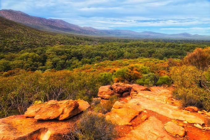 Adelaide To Flinders Ranges Road Trip | Scenic Highlights