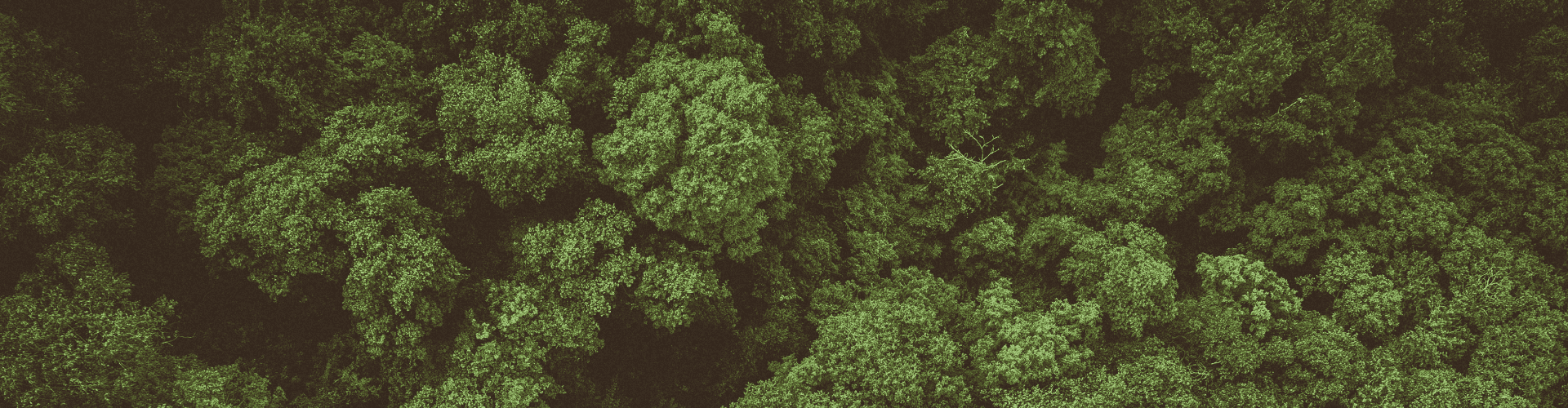 Travel with Care | Luxury RV Rental | Road Bear RV