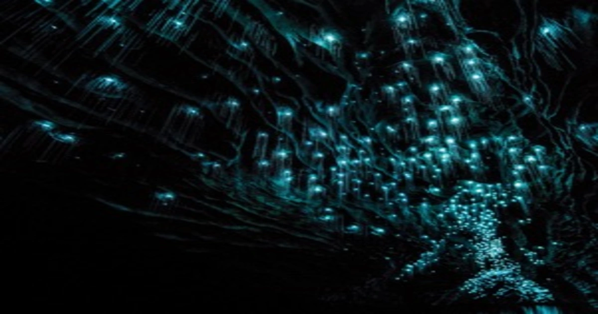 History of Waitomo Glowworm Caves | Discover Waitomo