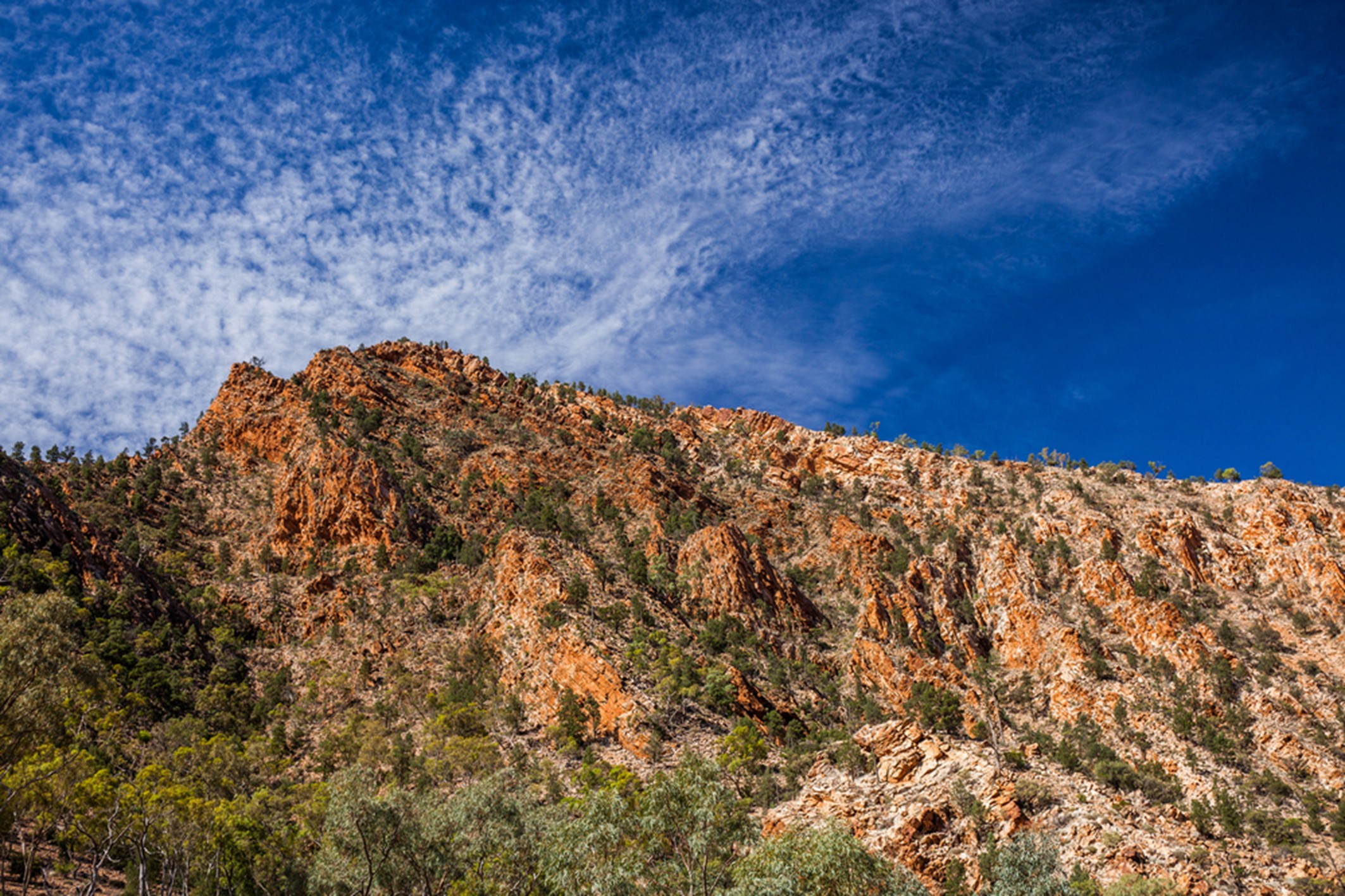 Adelaide To Flinders Ranges Road Trip | Scenic Highlights